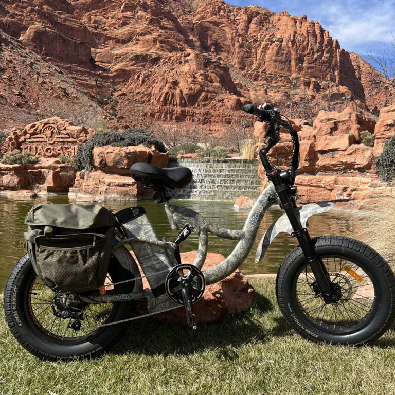 Shop – E-Pedals Electric Bikes