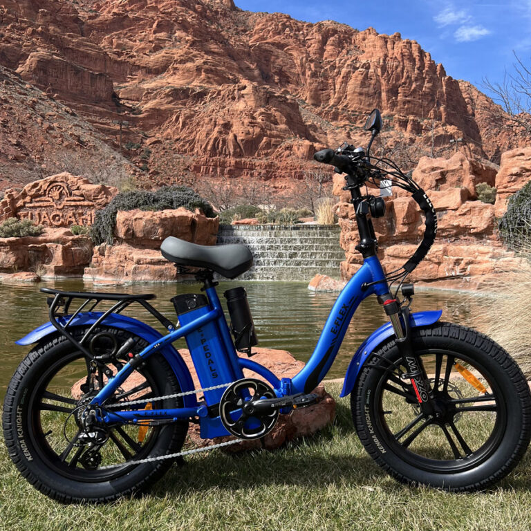 E-FLEX – E-Pedals Electric Bikes